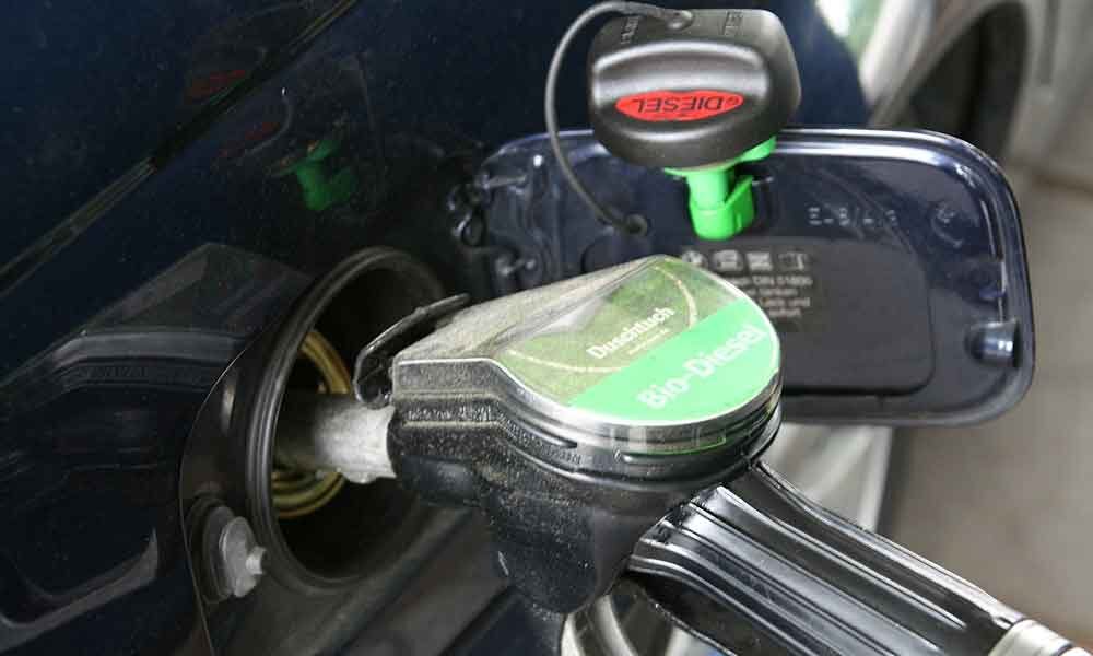 The Benefits Of Using BioDiesel Gasoline – Automotive Pedia